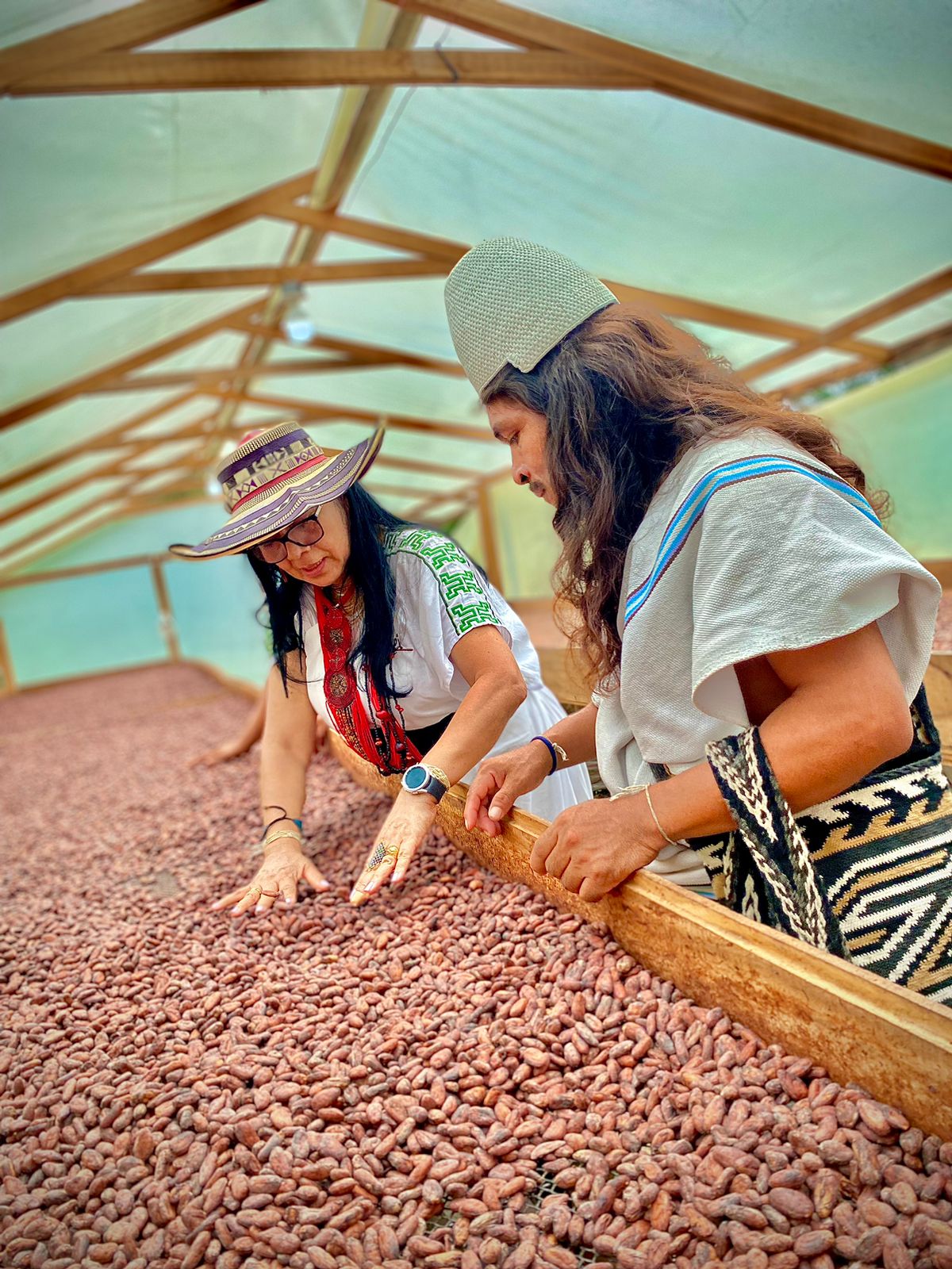 Transforming lives through cocoa: this is how “Cacao Celestial” was ...