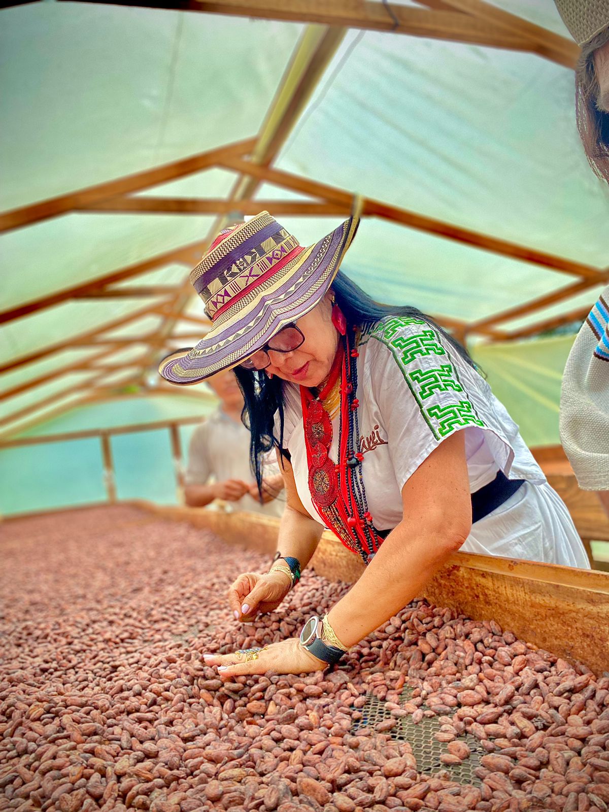 Transforming lives through cocoa: this is how “Cacao Celestial” was ...